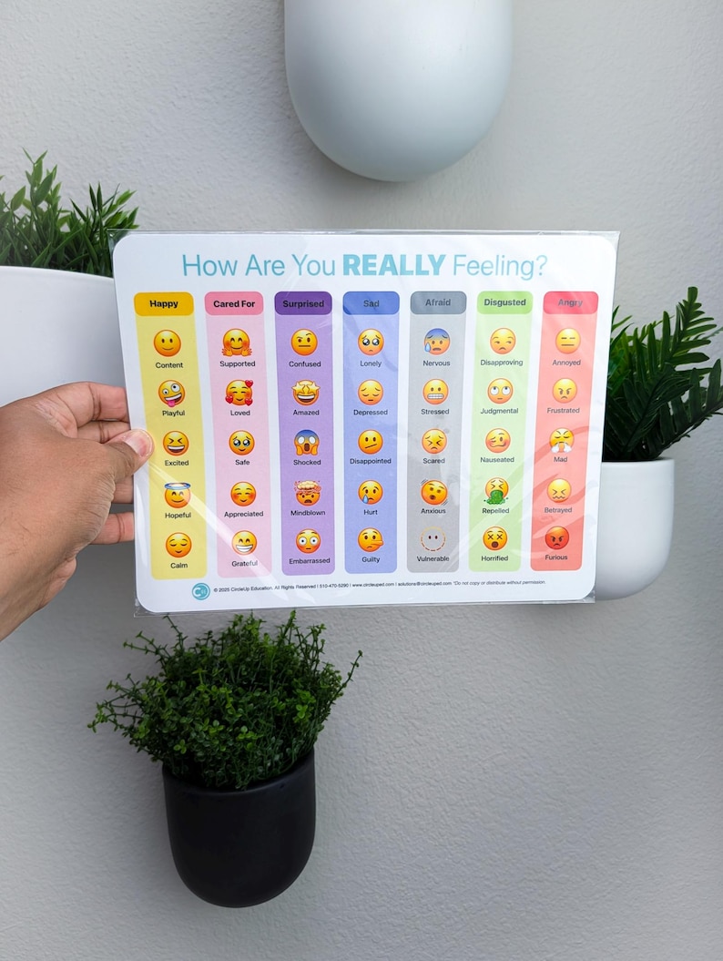 Soft Touch Laminated Emoji Feeling Chart - Feeling Wheel Alternative ...