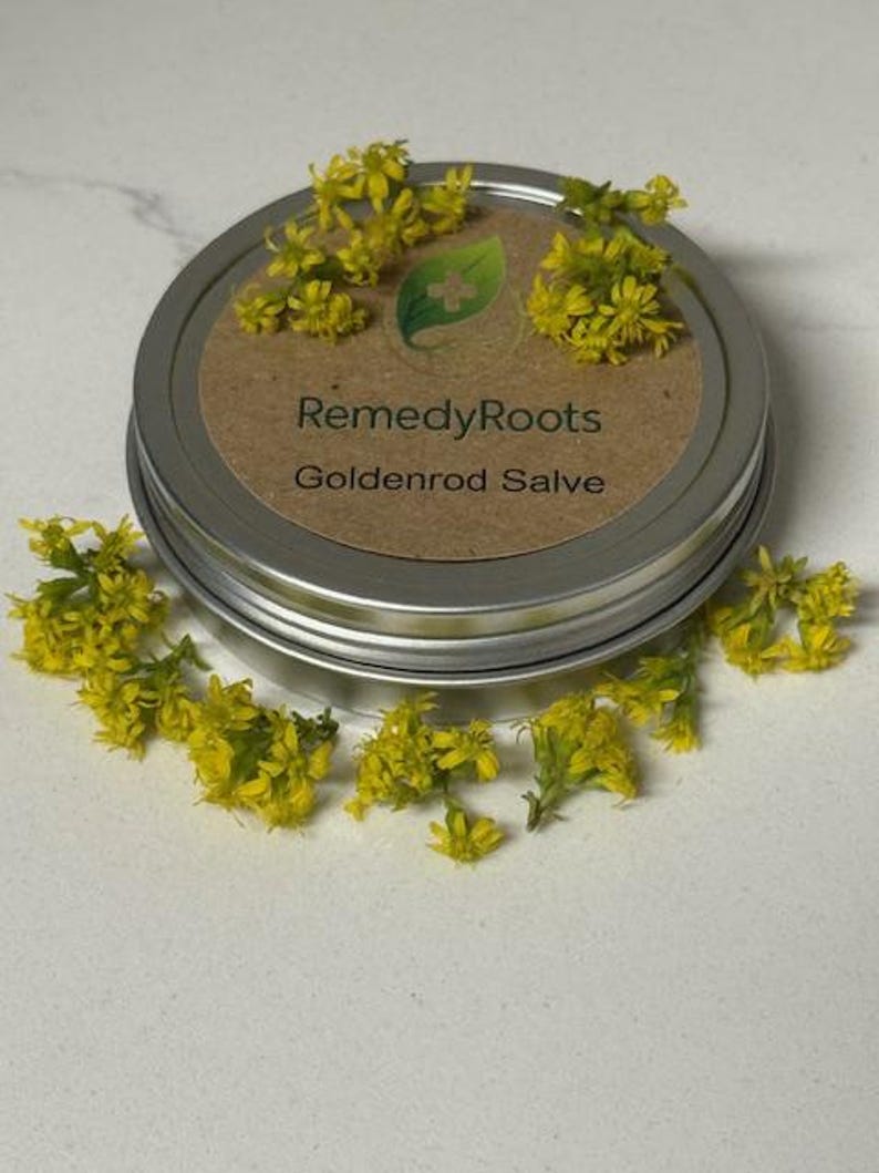 Goldenrod Salve – Wild-harvested New England Goldenrod • Organic Extra ...