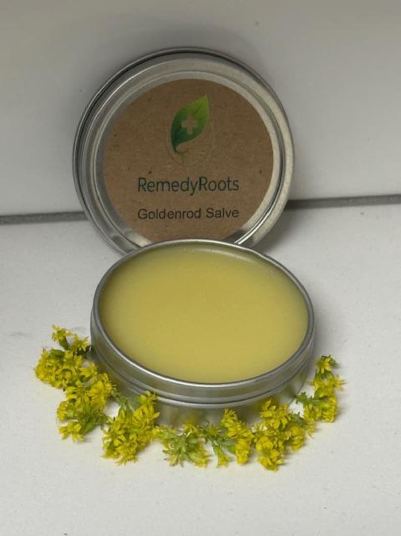 Goldenrod Salve – Wild-harvested New England Goldenrod • Organic Extra ...