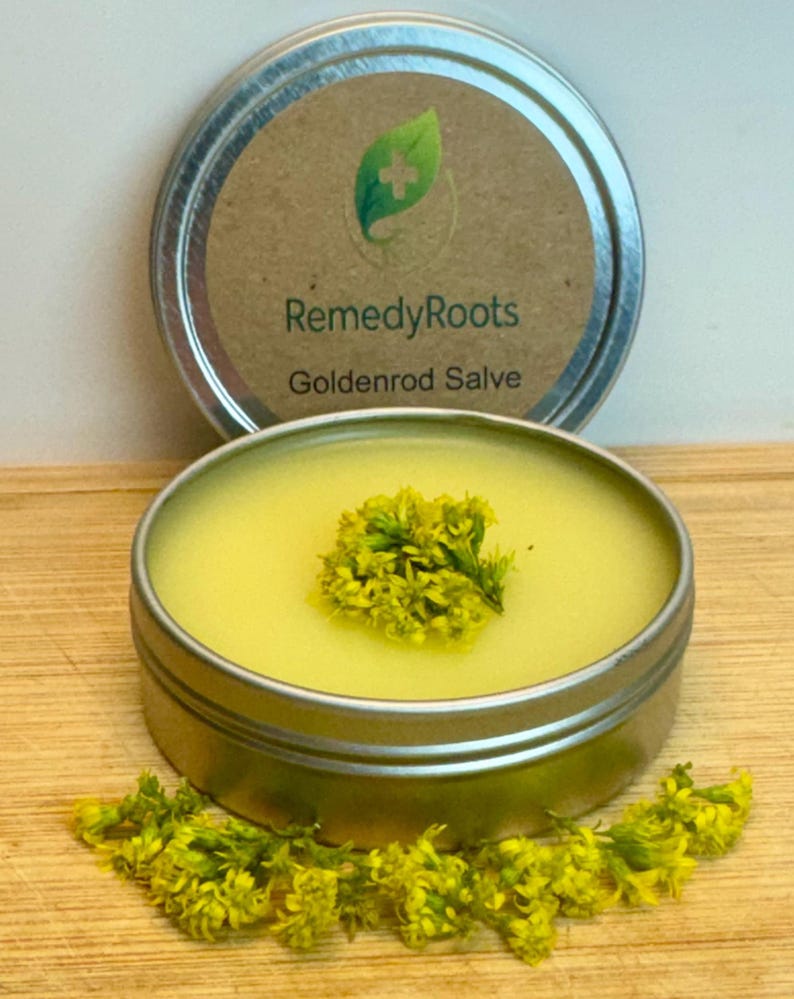Goldenrod Salve – Wild-harvested New England Goldenrod • Organic Extra ...