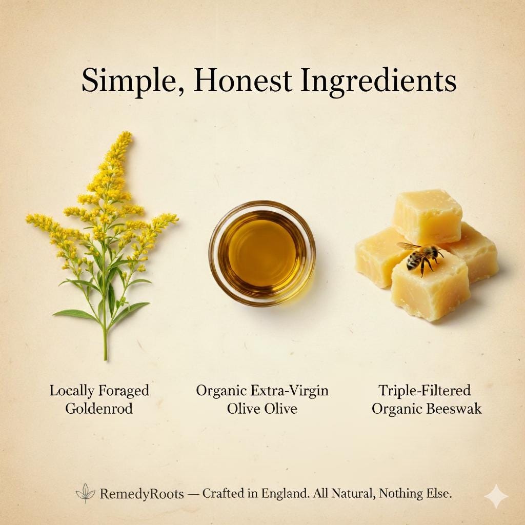 Goldenrod Salve – Wild-harvested New England Goldenrod • Organic Extra ...