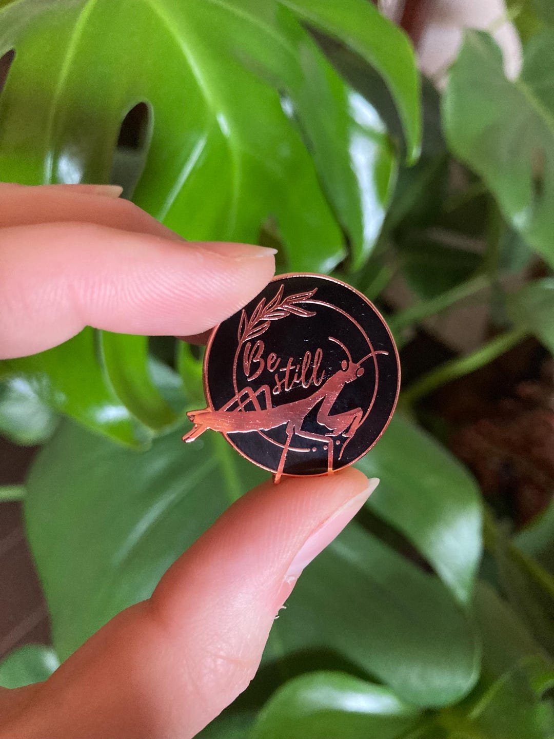 Praying Mantis "be Still" Wise Bug Enamel Pin - Etsy