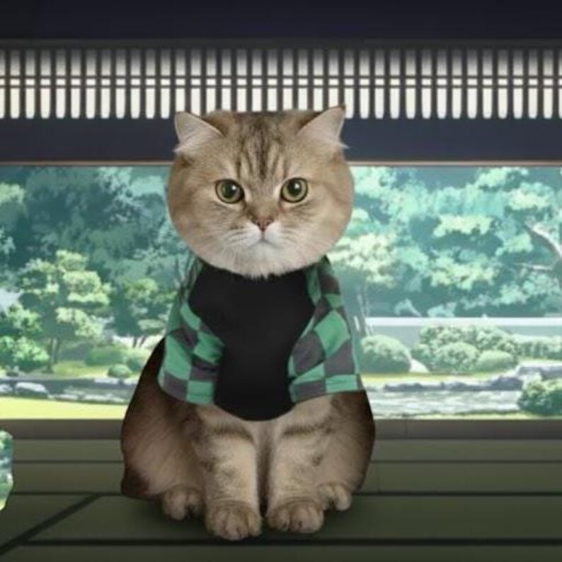 Demon Slayer Pet Costume – Cute Anime Cat & Dog Outfit | Kawaii Tanjiro ...