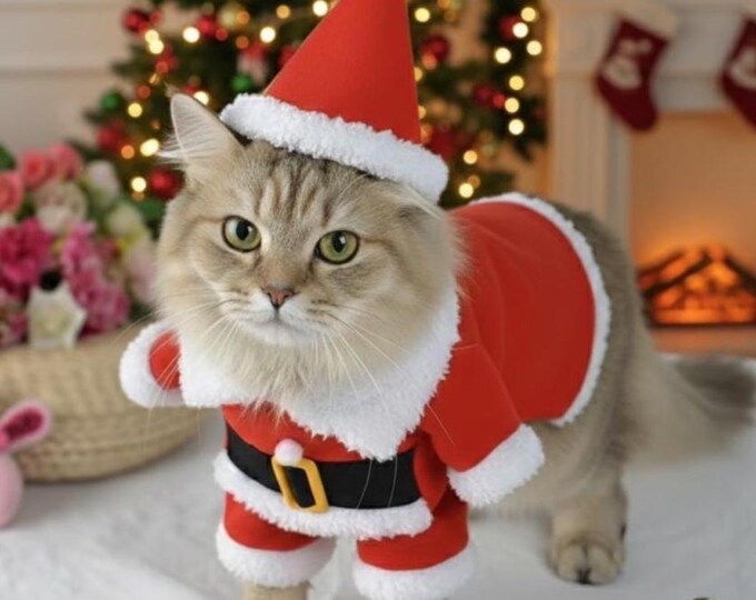 Christmas Pet Santa Outfit | Small Dog & Cat Holiday Costume - Etsy
