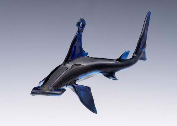 Hammerhead Shark Brain