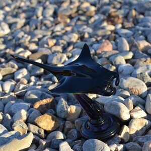 Black Glass Manta Ray on Base, Lampwork Sea Life Sculpture, Ocean and ...
