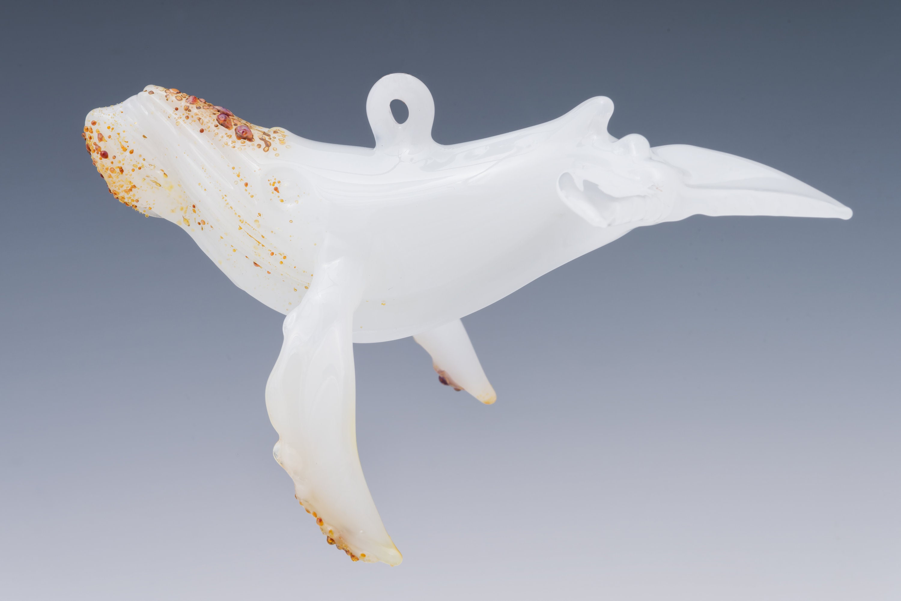 Migaloo The White Whale