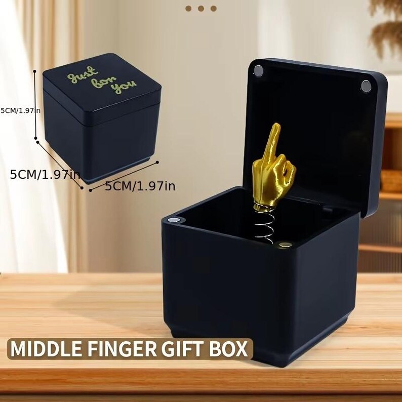 3D Printed Annoying Gift Box, Christmas, Graduation Gift, Friendship ...