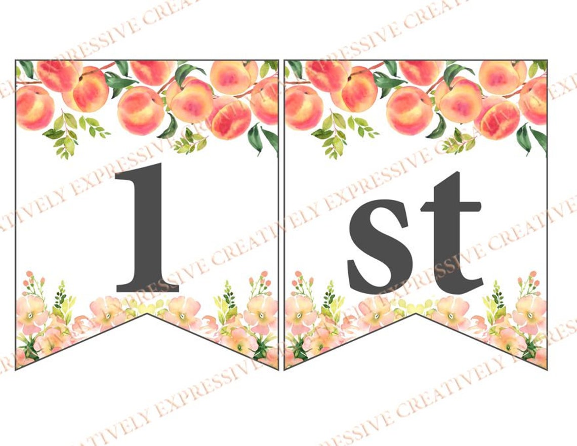 Peach Party Banner. Peach Birthday Banner. Peach Bridal Shower | Etsy