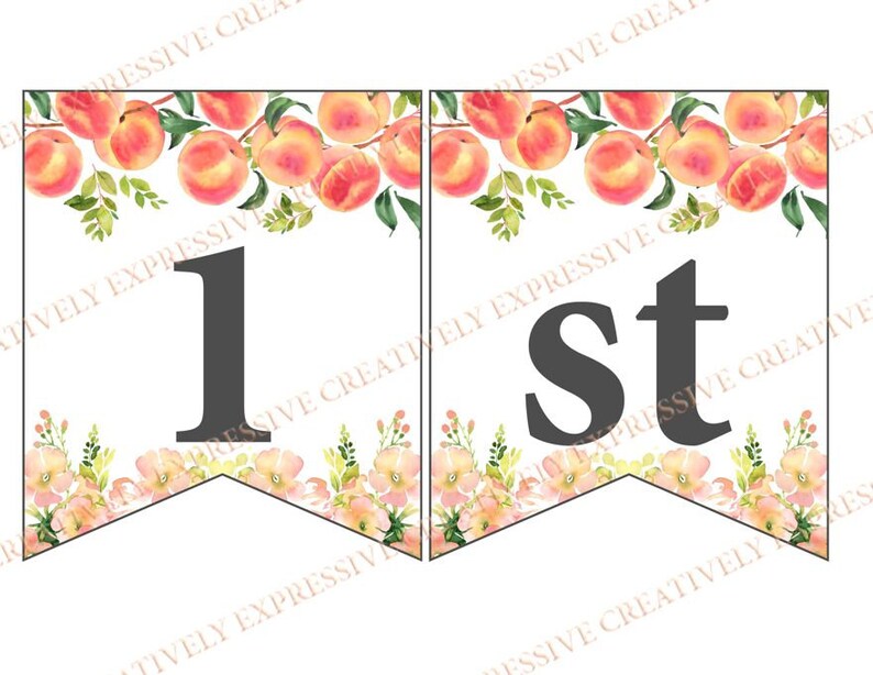 Peach Party Banner. Peach Birthday Banner. Peach Bridal Shower - Etsy