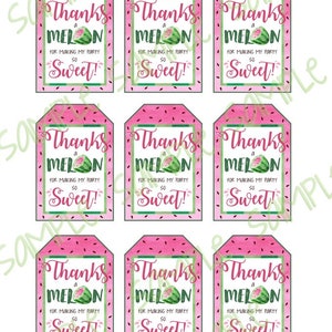 Watermelon Thank You Tags, One in a Melon, Watermelon Birthday Party ...