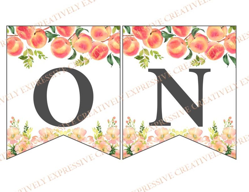 Peach Party Banner. Peach Birthday Banner. Peach Bridal Shower | Etsy