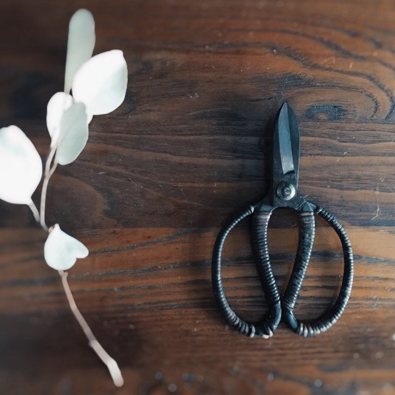 Flower Shears - Etsy