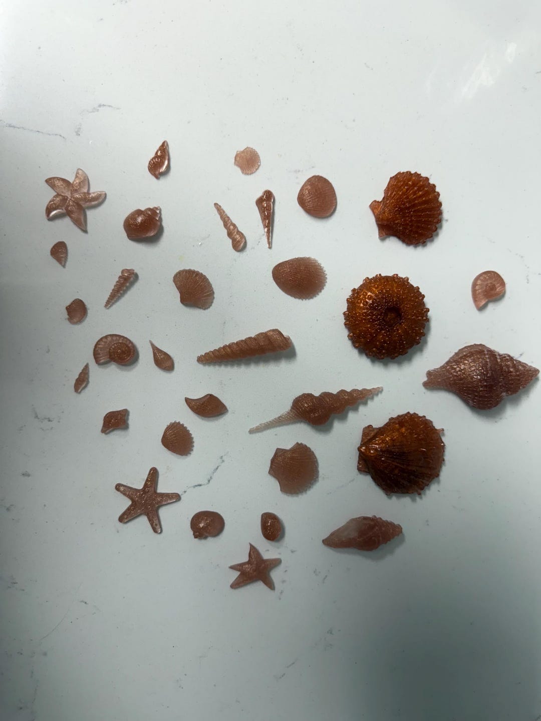 Seashells Made With Resin. Set of Seashells Can Make a Great Decor ...