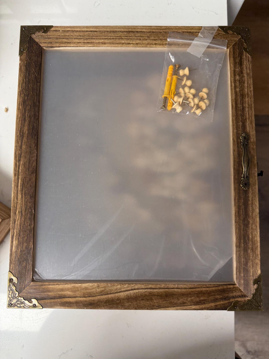 Deep Shadow Box Made With Fighting Conch Shells. Could Be Hung up on ...
