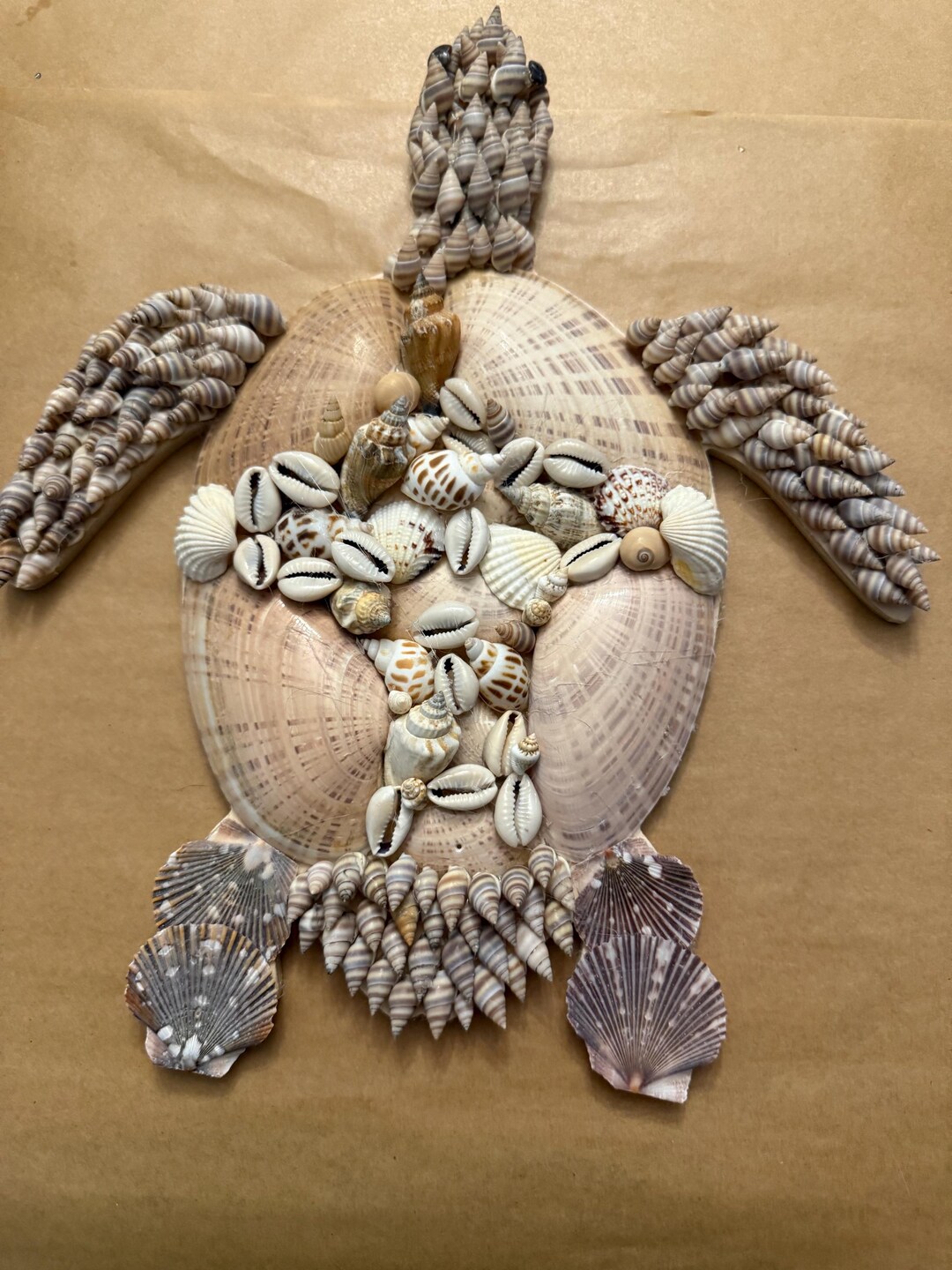 Sea Turtle Shell Craft. Hand Crafted! Three Different Variations. - Etsy