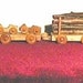 Handcrafted Wooden 6 Car Train - Etsy