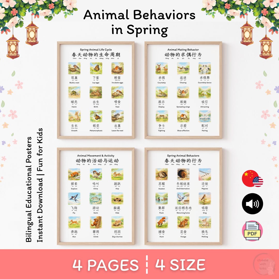 Bilingual Spring Animal Behavior Posters for Kids, Mandarin Chinese ...