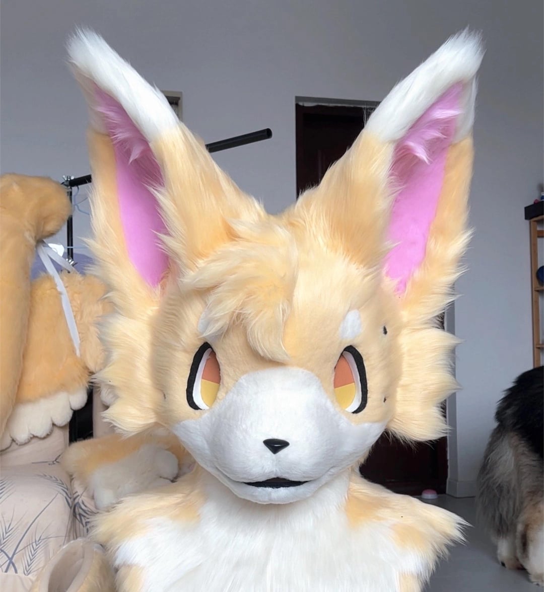 Custom Fox Toony Fursuit Commission, Fursona Adoption, Toony Fursuit ...
