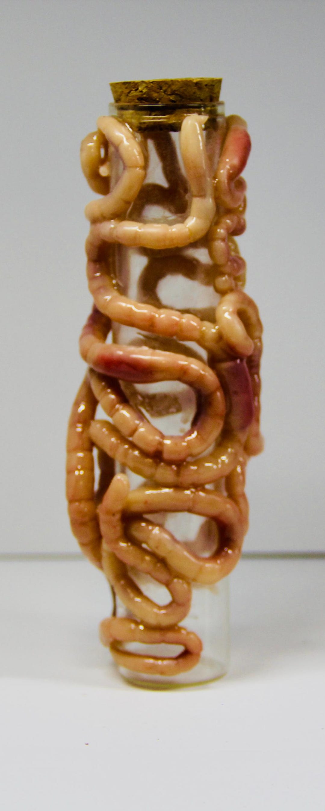 Weird Worm Glass Stash Jar With Cork Lid. - Etsy