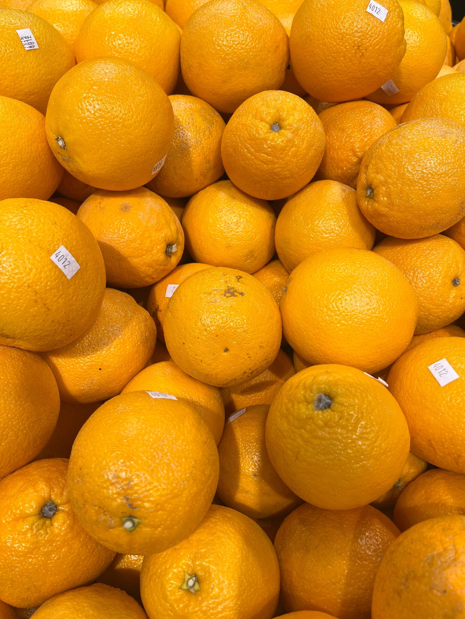 500+ Pieces Dry Lemon-lime-oranges Wheels for All Occasions ...