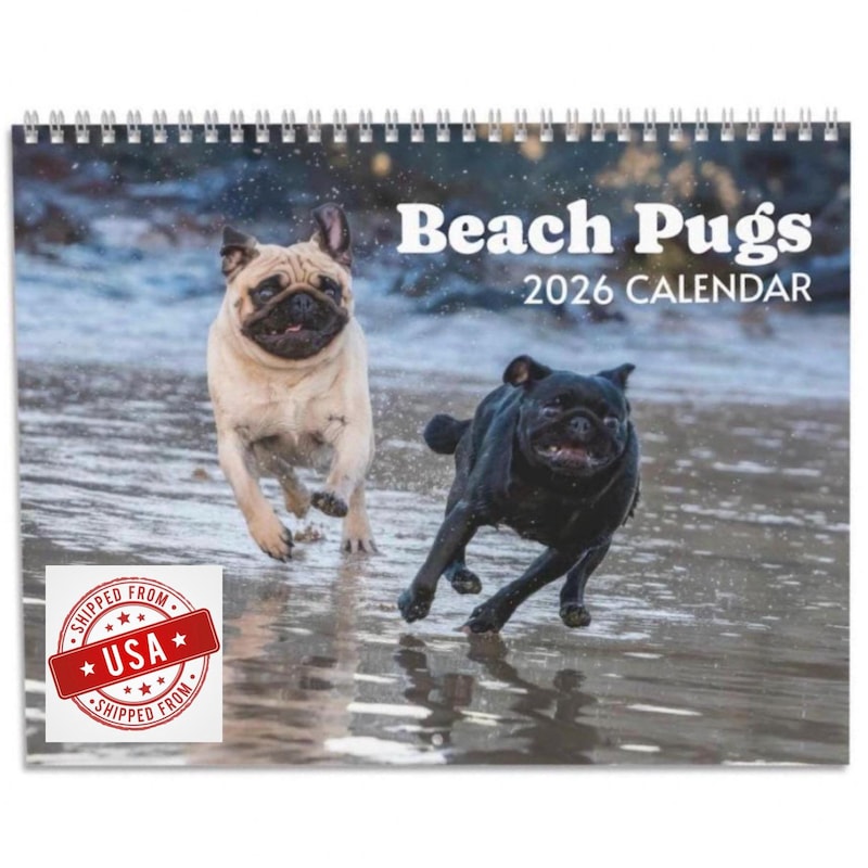 Pug Calendars 2026 - Etsy