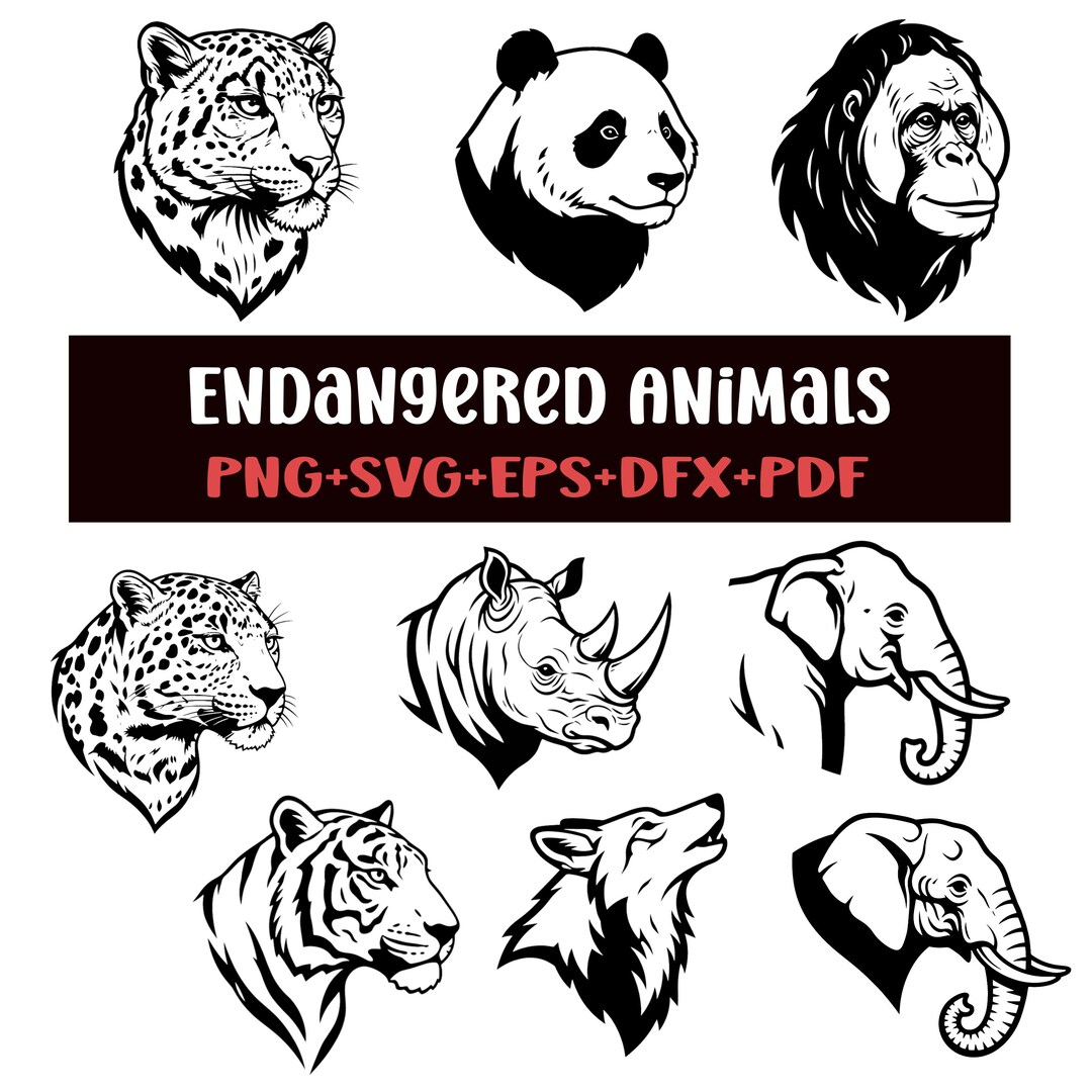 Endangered Animals Vector Cut File Set: Wildlife SVG PNG Bundle ...