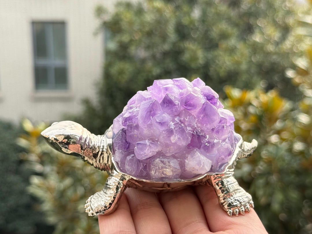 4.6" Natural Amethyst Cluster Turtle: Hand Carved Crystal Turtle ...