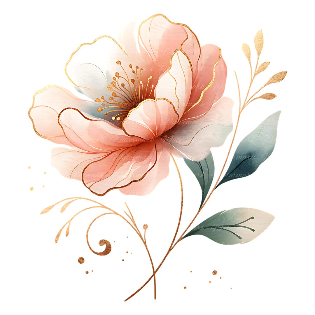 Abstract Pink-peach Flower Clipart Bundle • Blush & Dusty Rose • 12 PNG ...
