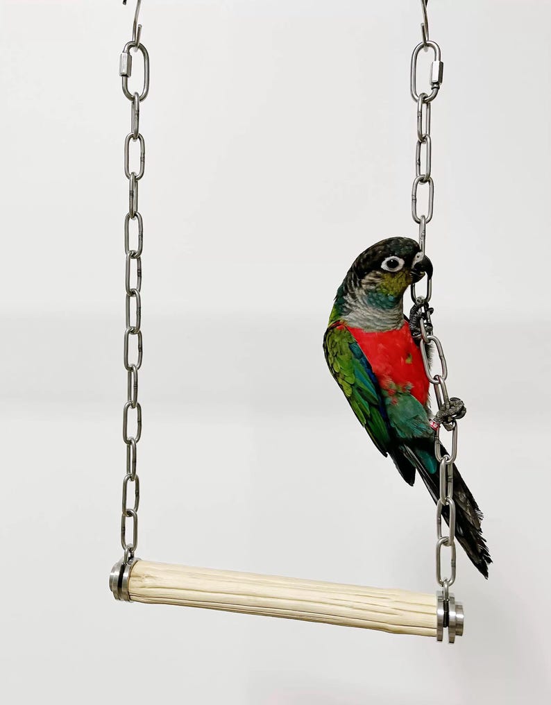 Handcrafted Natural Wood Bird Swing Perch With Stainless Steel ...