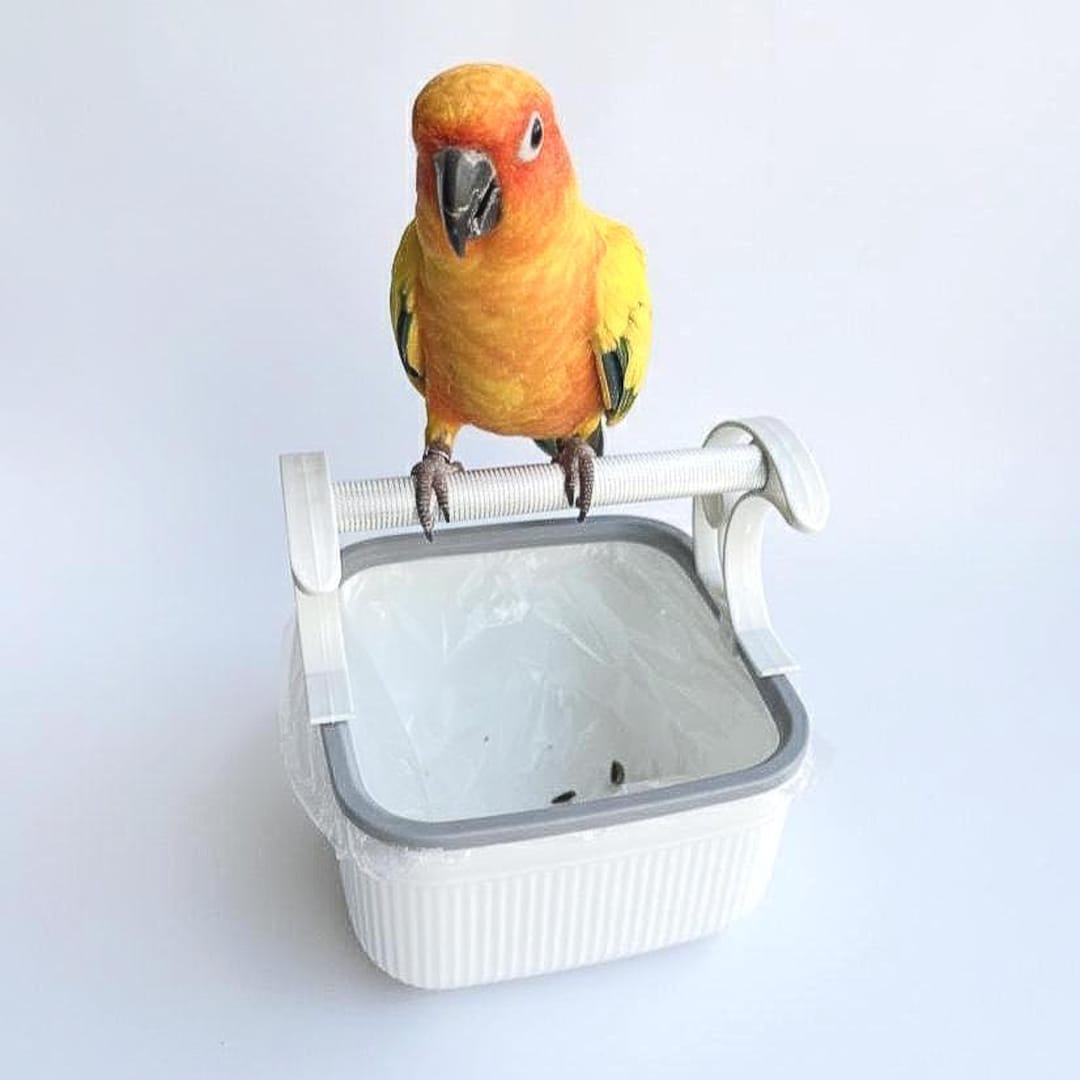 Desktop Parrot Potty Training Perch | Tabletop Bird Toilet Stand With ...
