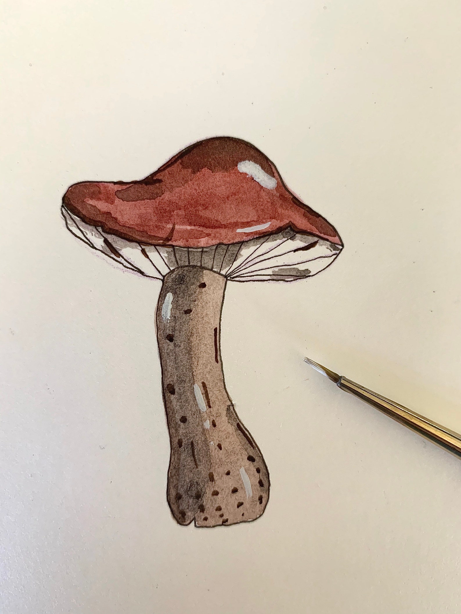 Fungi Father’s Day Card - Dad - Mushroom - Fungi - Watercolor - Fathers ...