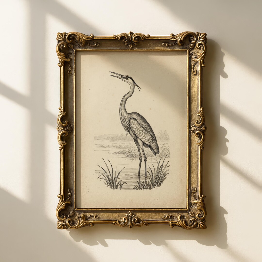Antique Heron Illustration Print, Vintage Bird Wall Art, Rustic ...