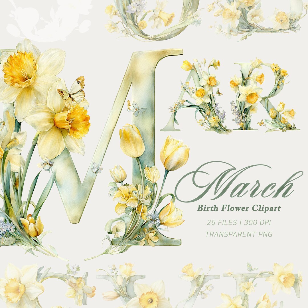 Daffodil Alphabet Clipart Watercolor Floral Alphabet PNG for ...
