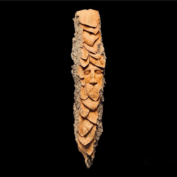 Cottonwood Bark - Etsy