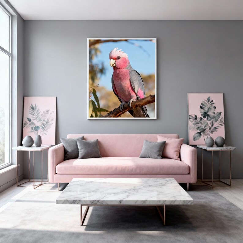 Galah Cacatoès Rose Gris Art | Poster Pink Grey Cockatoo Unique ...