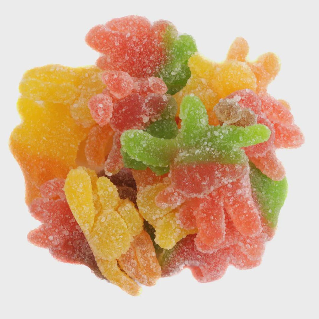 Sour Gummy Spiders - Etsy