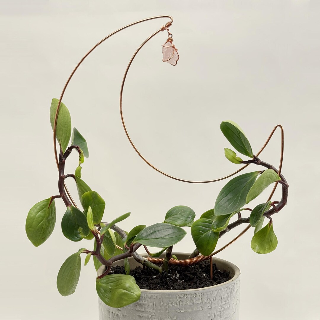 Moon Trellis for Plants | Plant Decor - Etsy