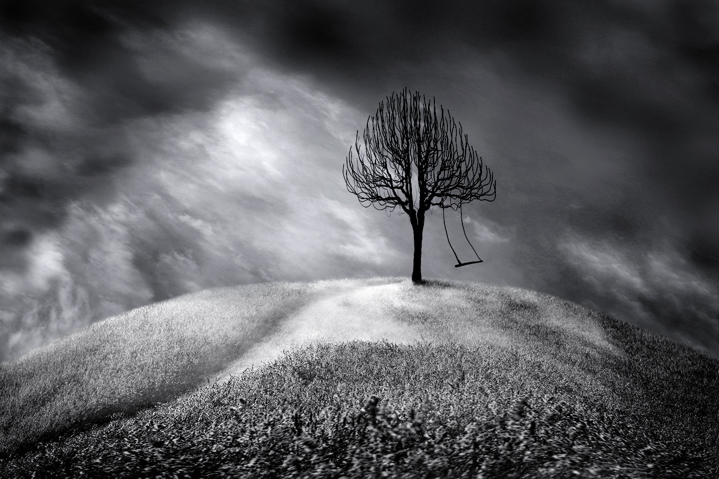 MOODY SURREAL TREE Art Black and White Photography on Canvas | Etsy