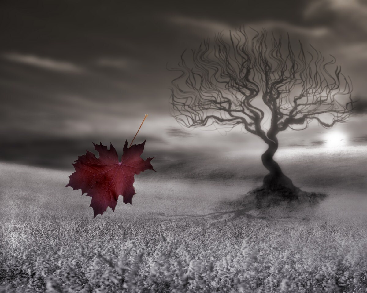 Representational Landscape Photography