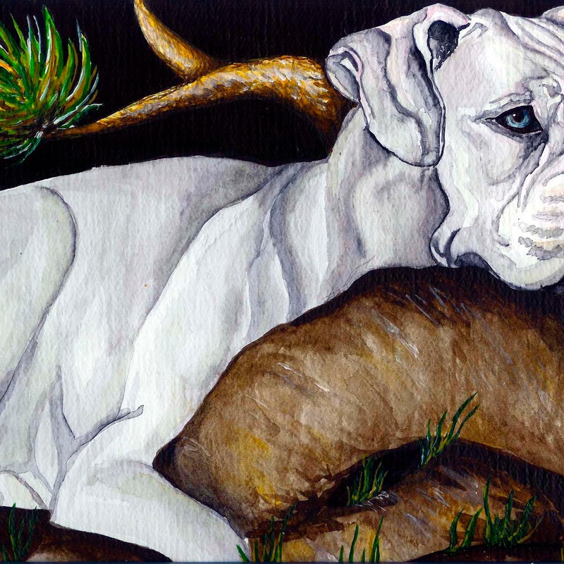 White Boxer - Etsy