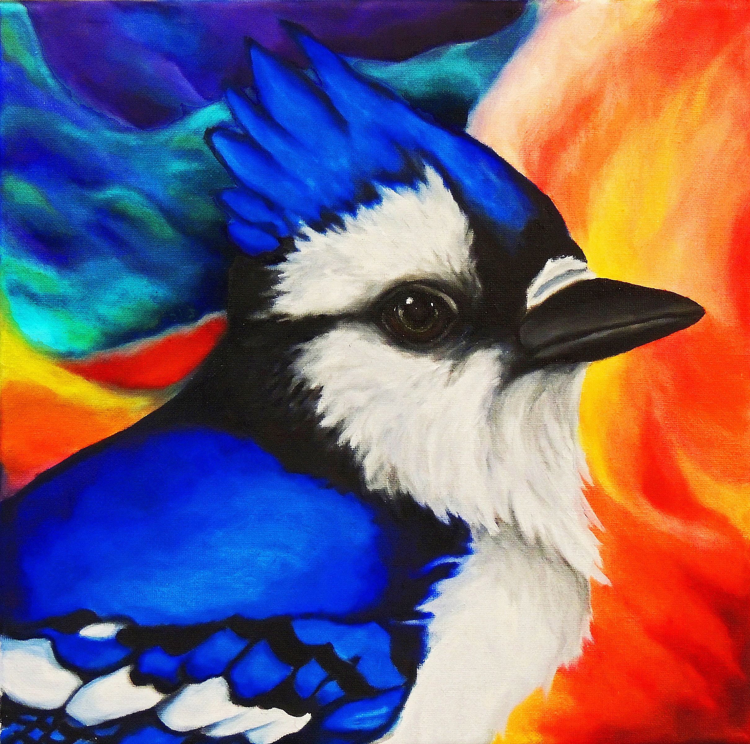 BLUE JAY Signed Art PRINT of Original Oil Painting Bird Wildlife Nature ...