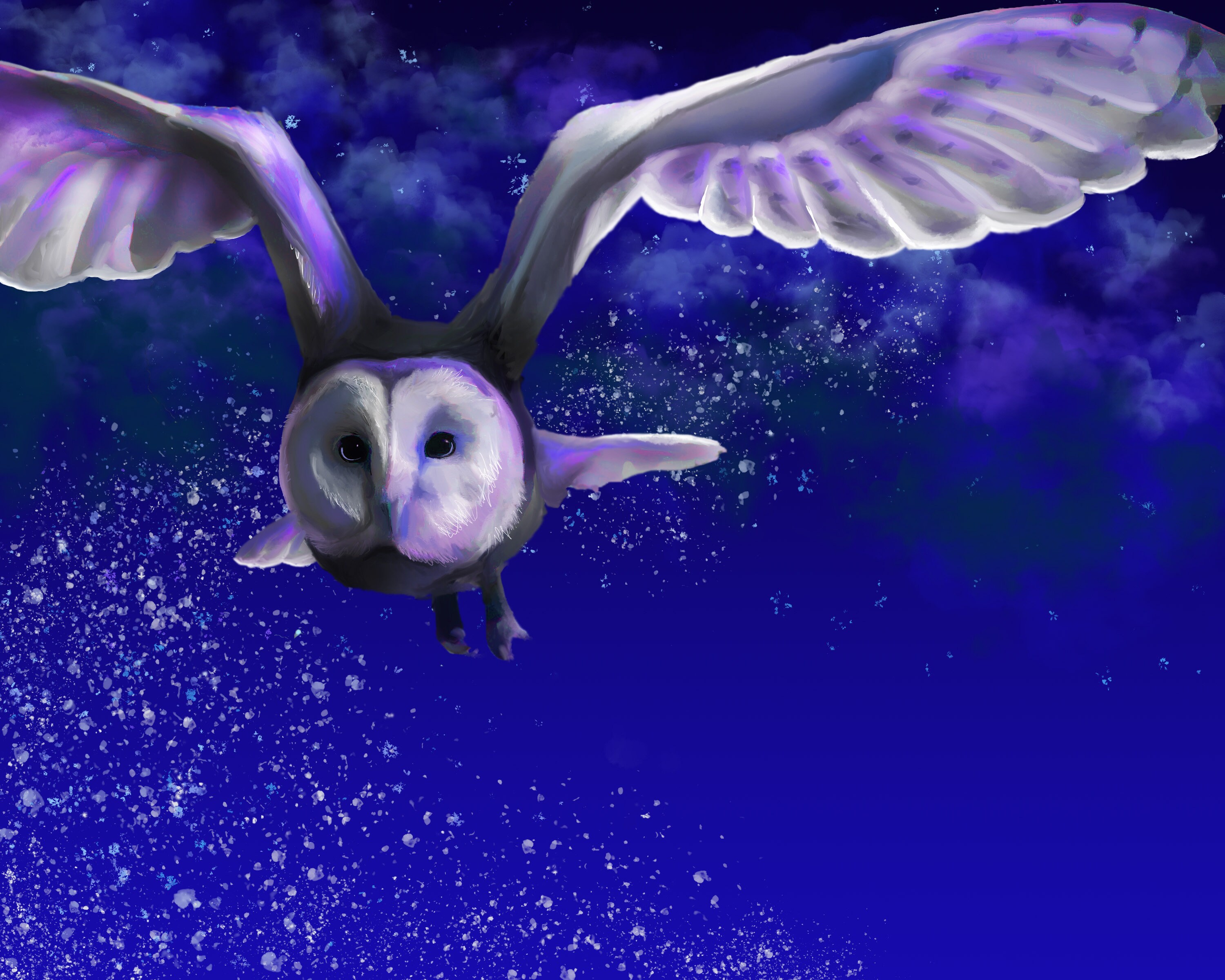 Flying Owl At Night