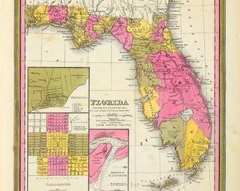 1892 Florida Map, Geological. Florida Keys, Gulf of Mexico. by W.H ...
