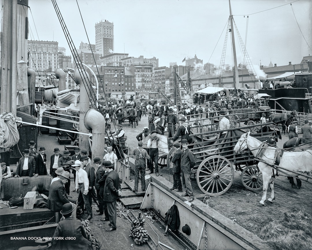 Vintage Photograph of the Banana Docks in New York Circa 1900 - Etsy