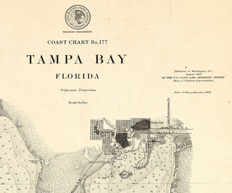 Tampa Bay 1900 - Etsy