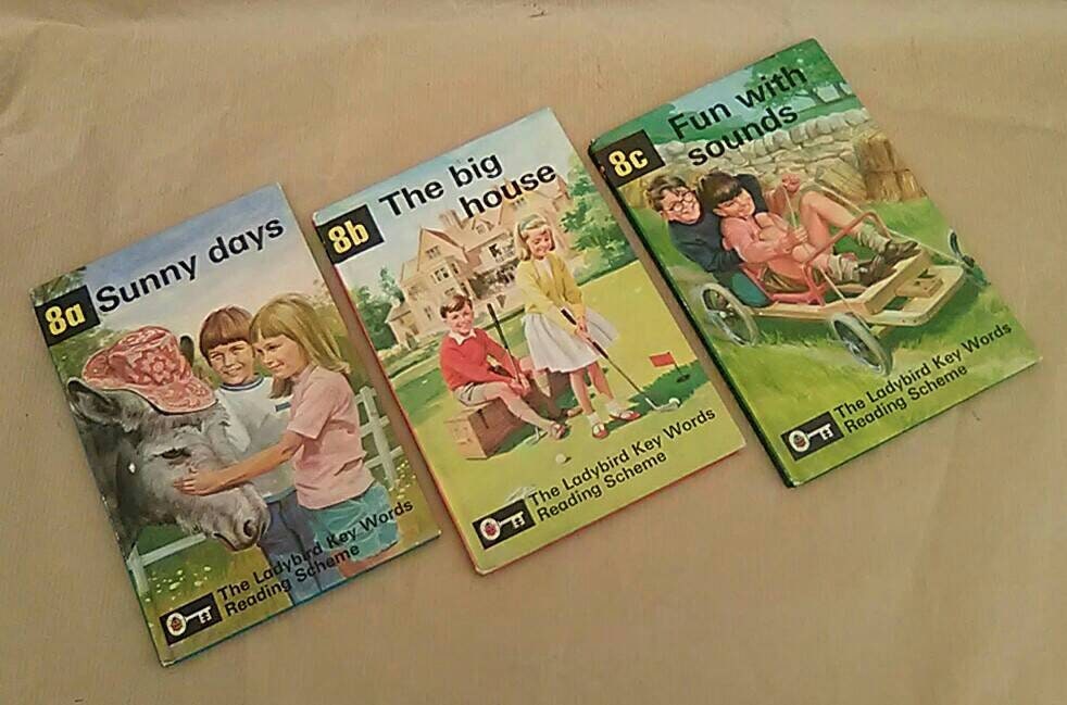 Ladybird Peter and Jane Books 7a 7b 7c 8a 8b 8c Key Words Reading ...