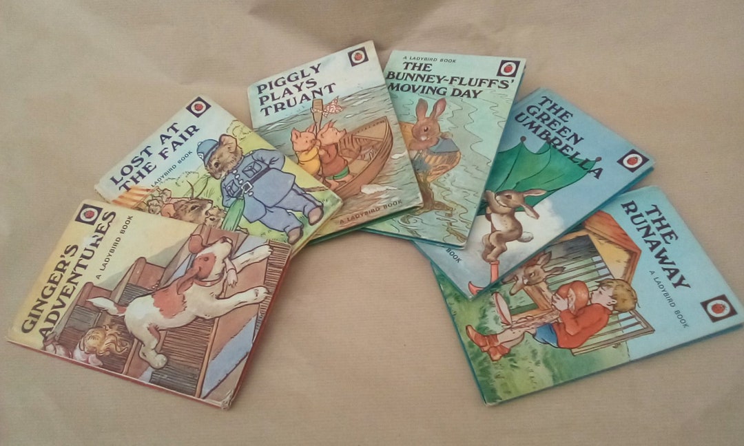 Ladybird Books Series 401 Rhyming Stories The Bunney Fluffs Etsy