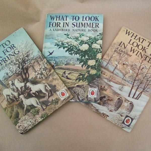 Ladybird Books - Etsy UK