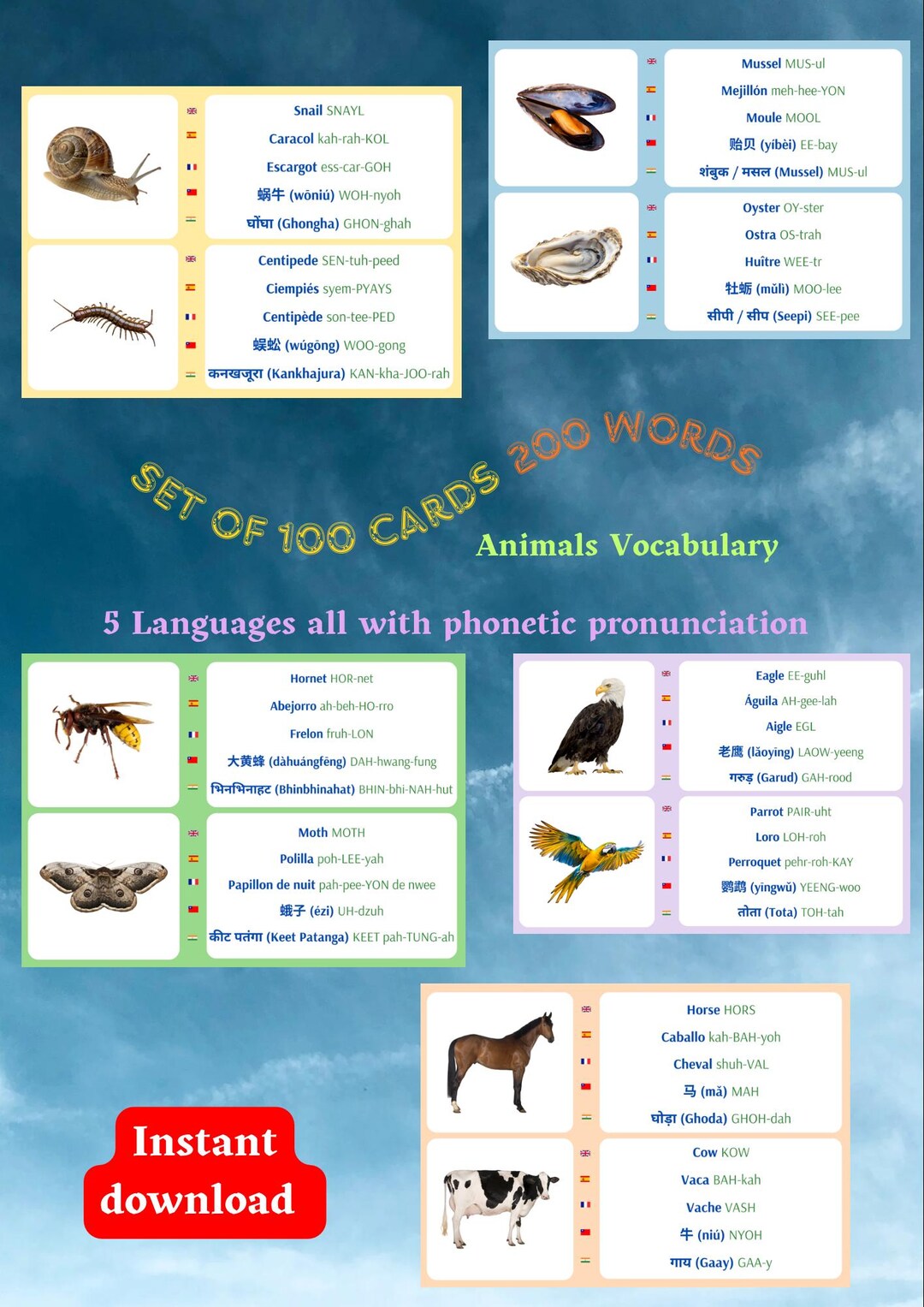 Multilingual Animal Flashcards Printable | Kids Vocabulary Cards ...